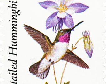 Hummingbird stamp | Etsy