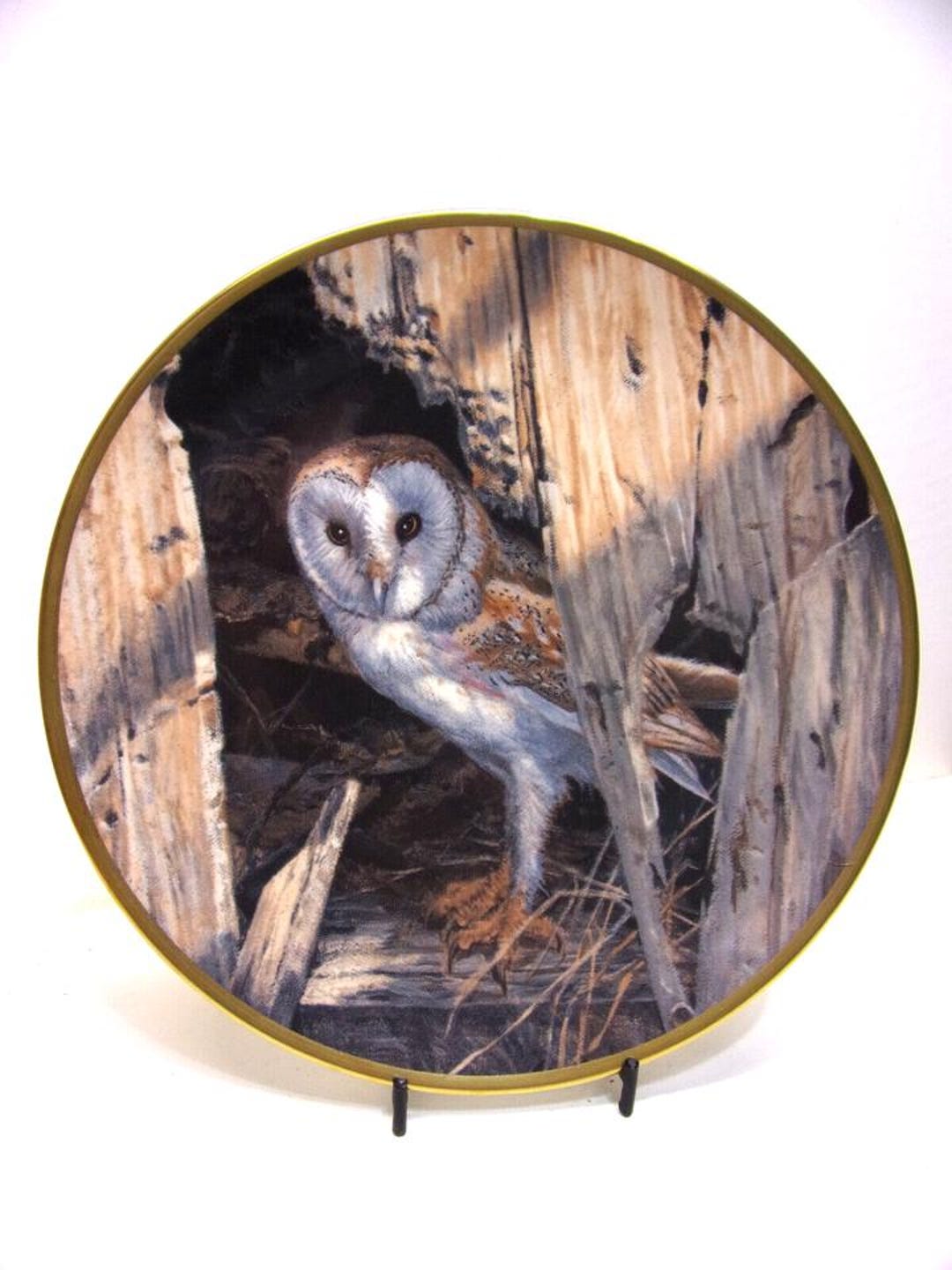 Waiting for Dusk Noble Owl Collector Plate by John Lester - Etsy