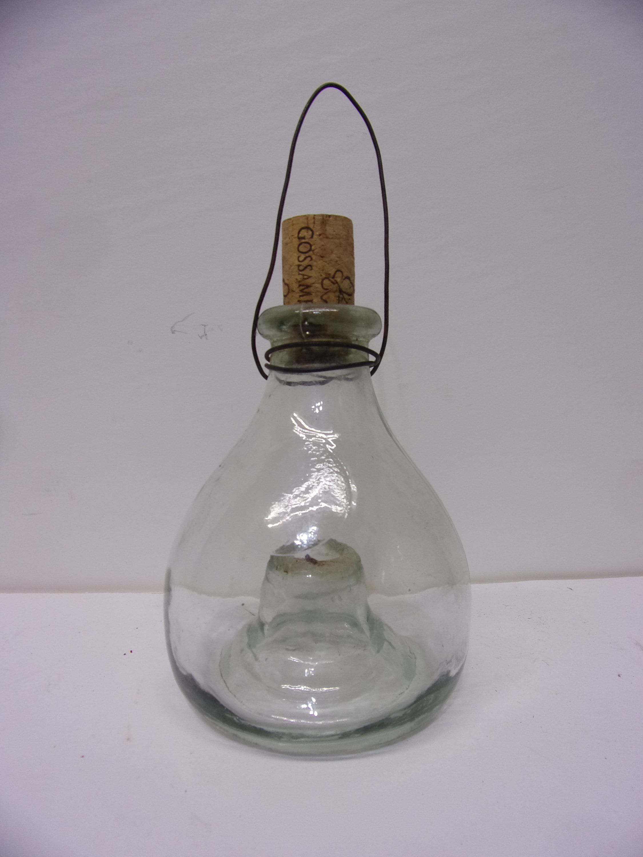 Antique Glass Hanging Fly Trap - Etsy