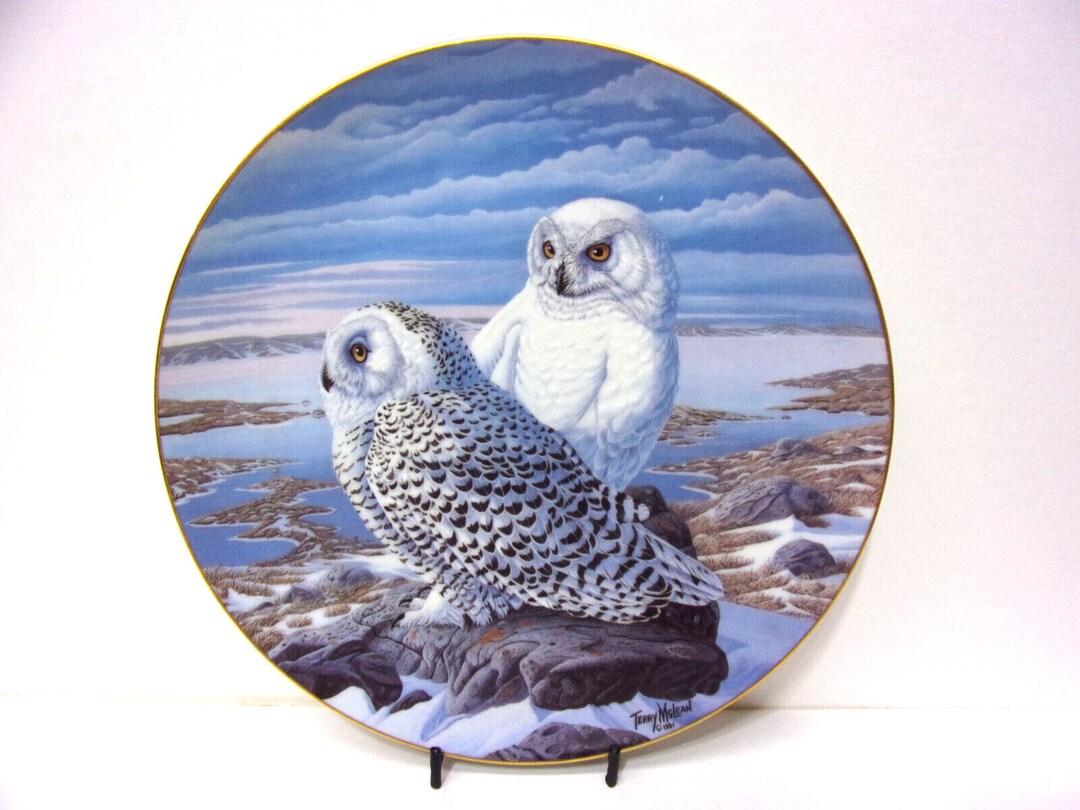 Arctic Watch Quebecs Snowy Owl Collector Plate by Terry Mclean - Etsy