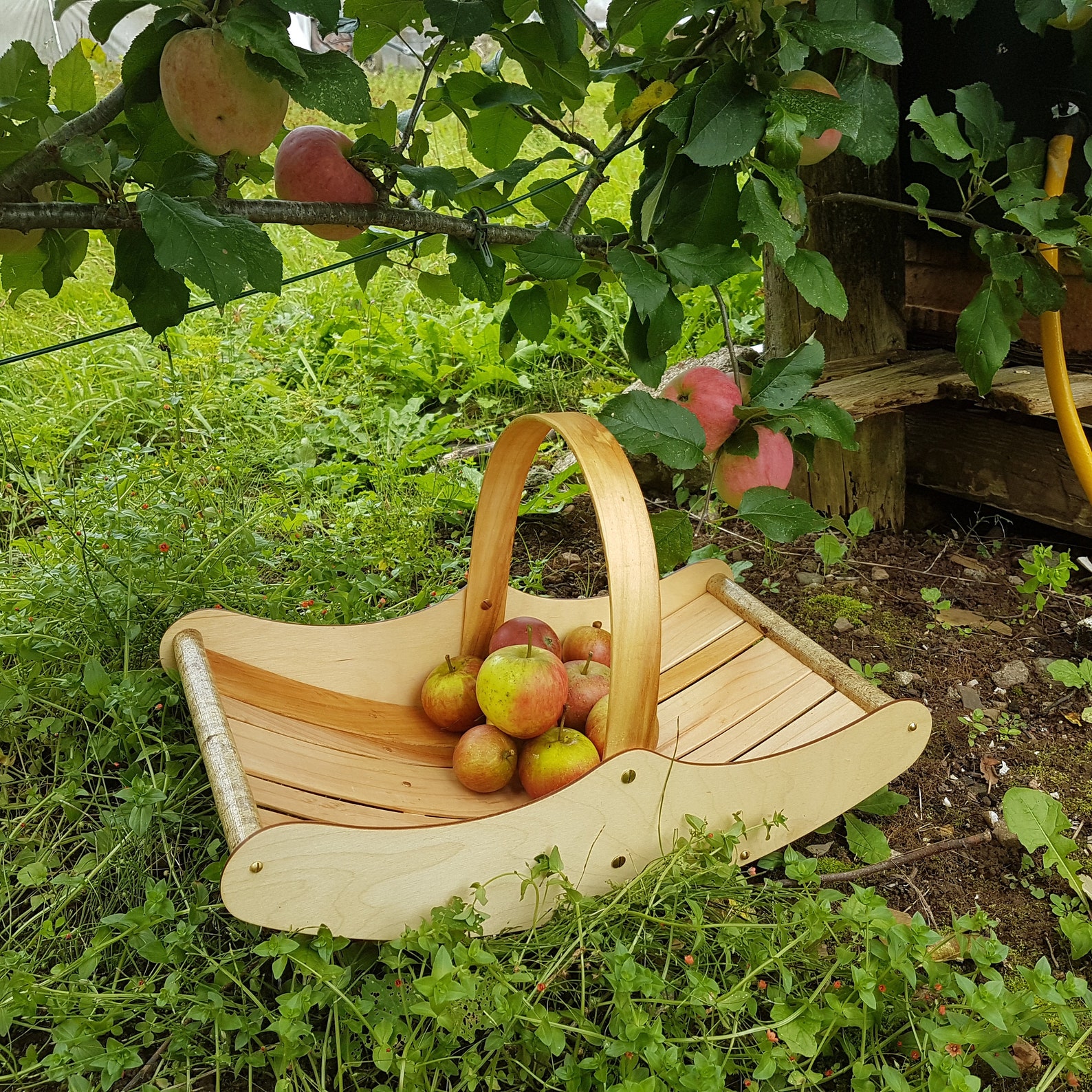 Vegetable basket for your allotment gardener gifts garden | Etsy