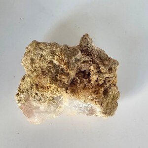 Pink Limb Cast Botryoidal Specimen - Etsy