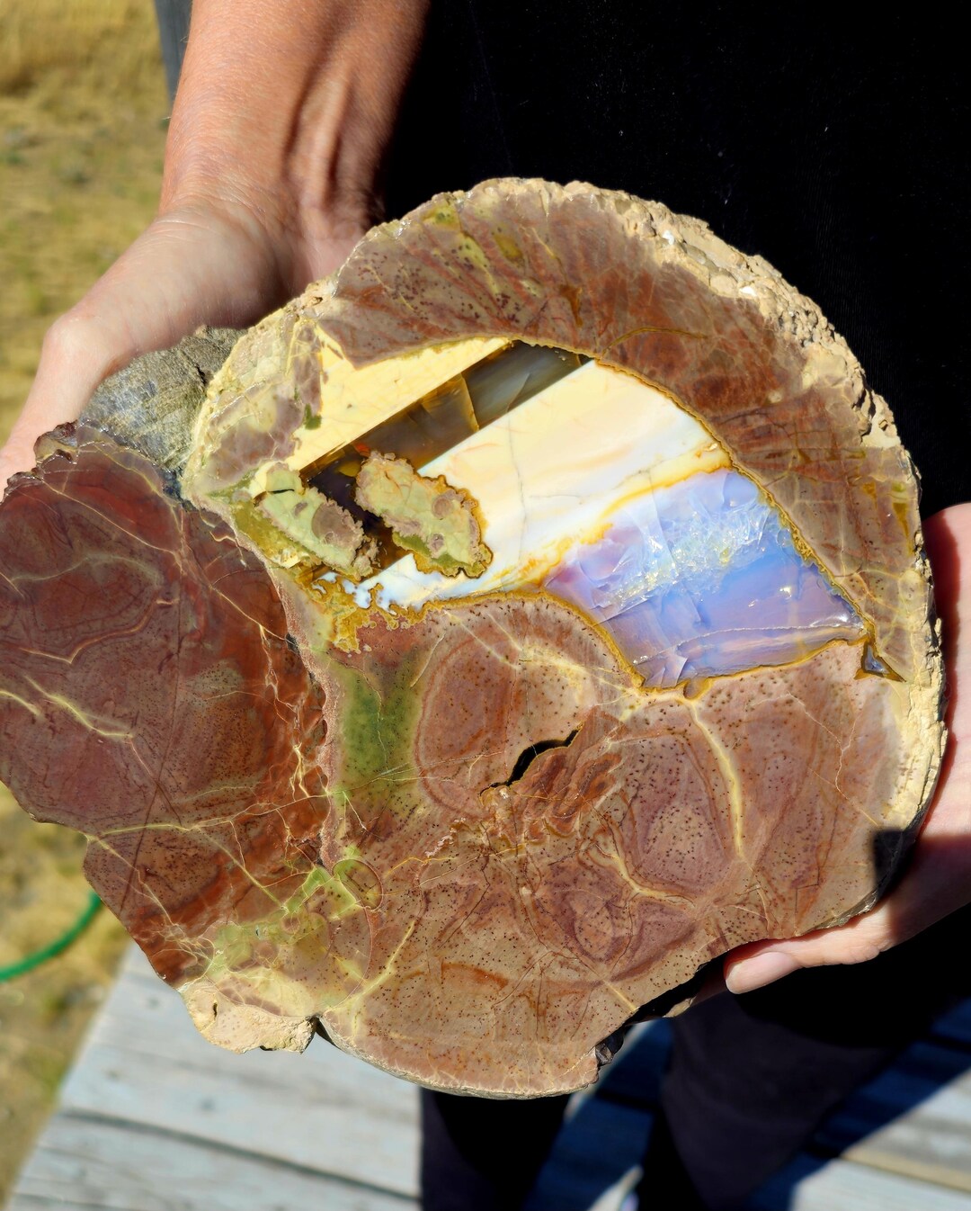 Oregon Opal Butte Polished and Large Thunder Egg - Etsy