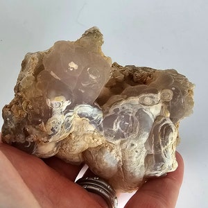 Pink Limb Cast Botryoidal Specimen - Etsy