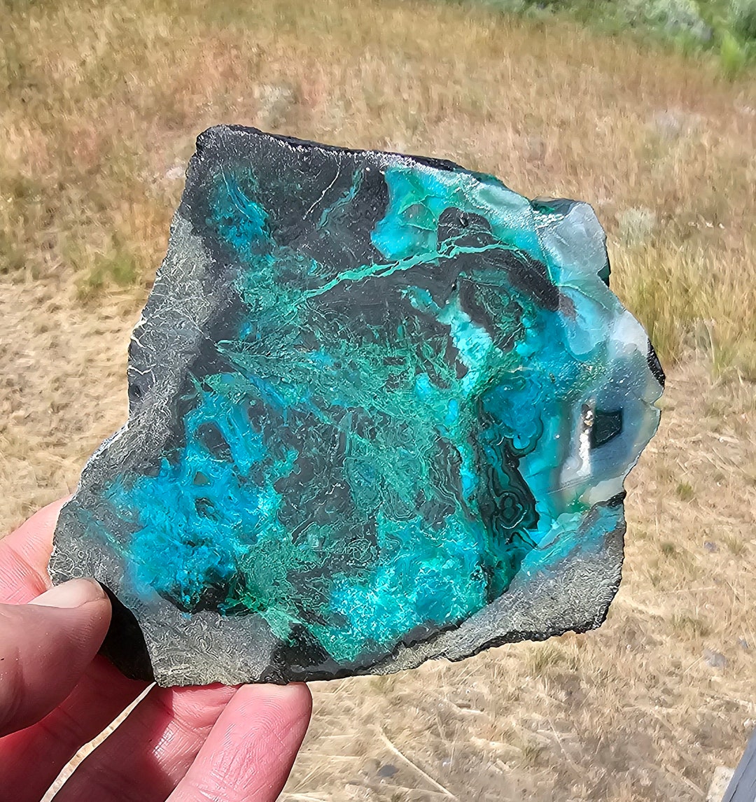 Parrot Wing Stone Slab - Etsy