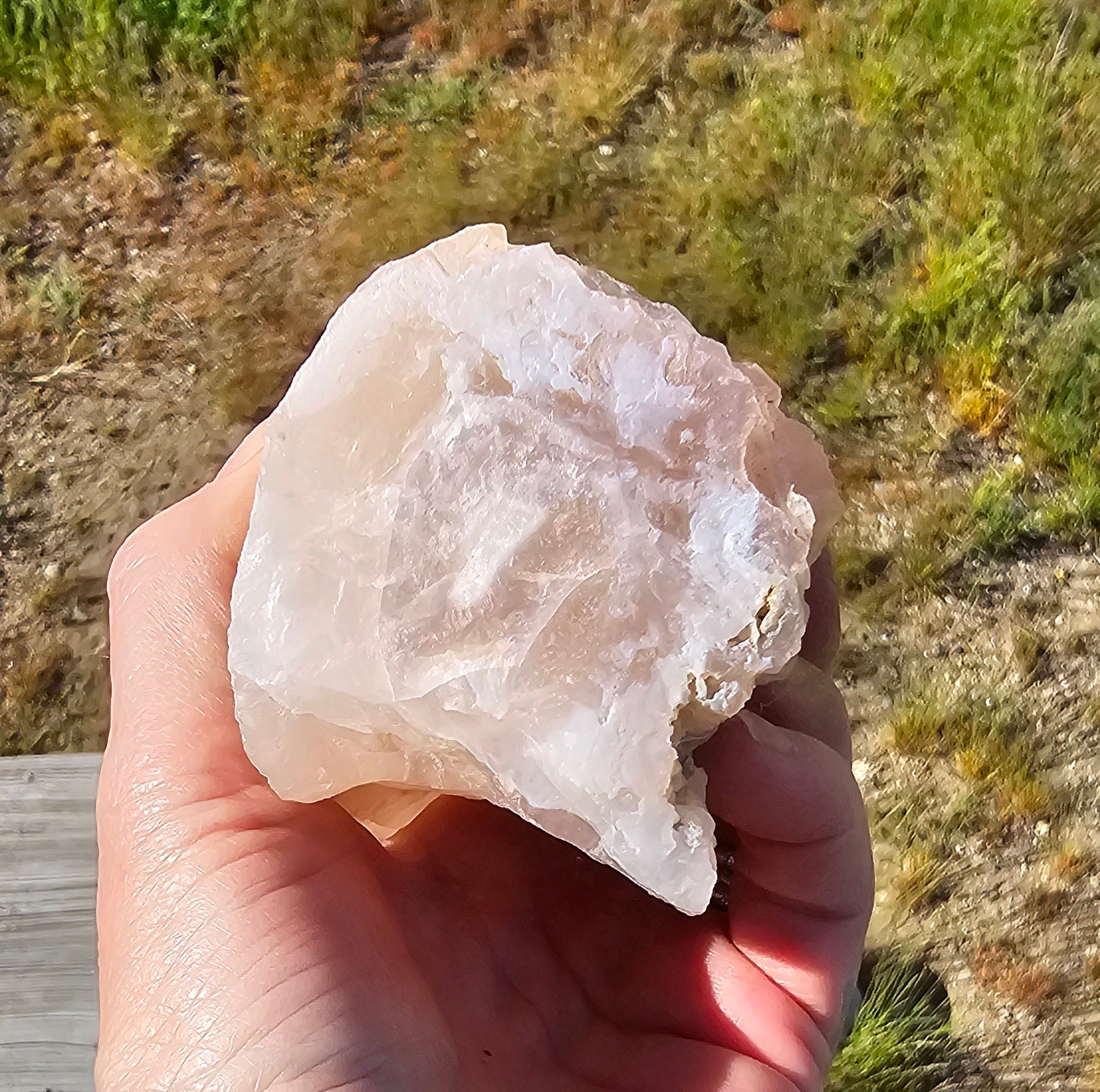 Pink Limb Cast Large & Rare - Etsy