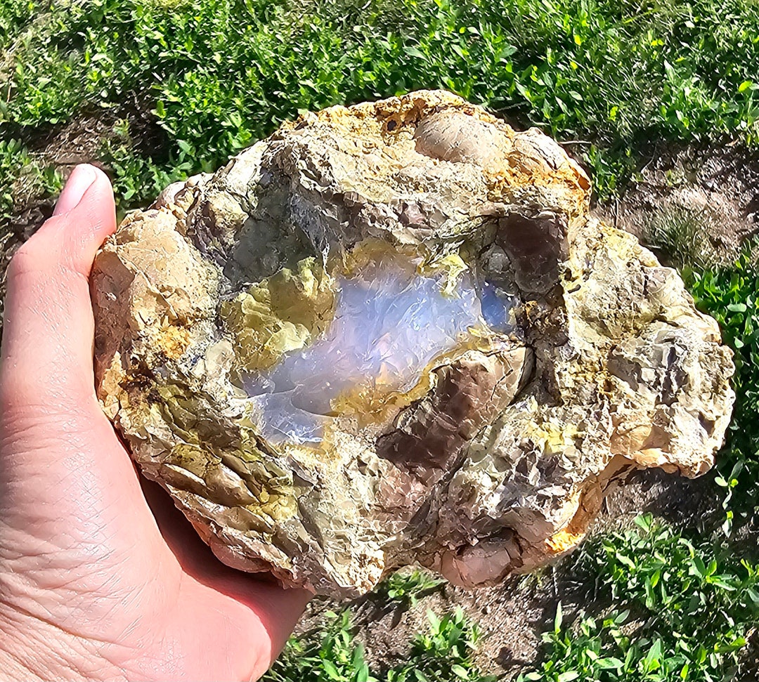 Oregon Opal Butte Thunder Egg - Etsy