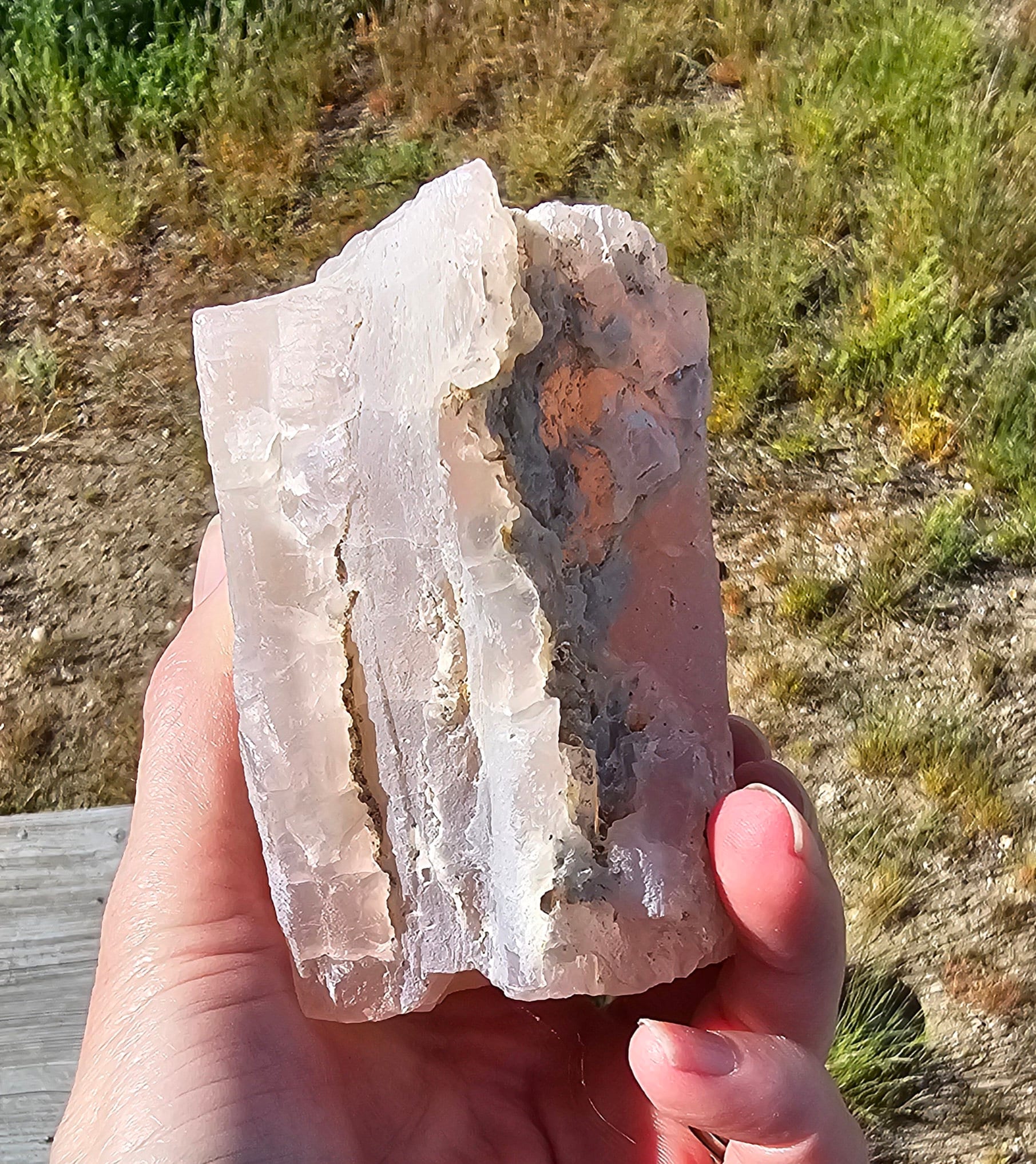 Pink Limb Cast Large & Rare - Etsy