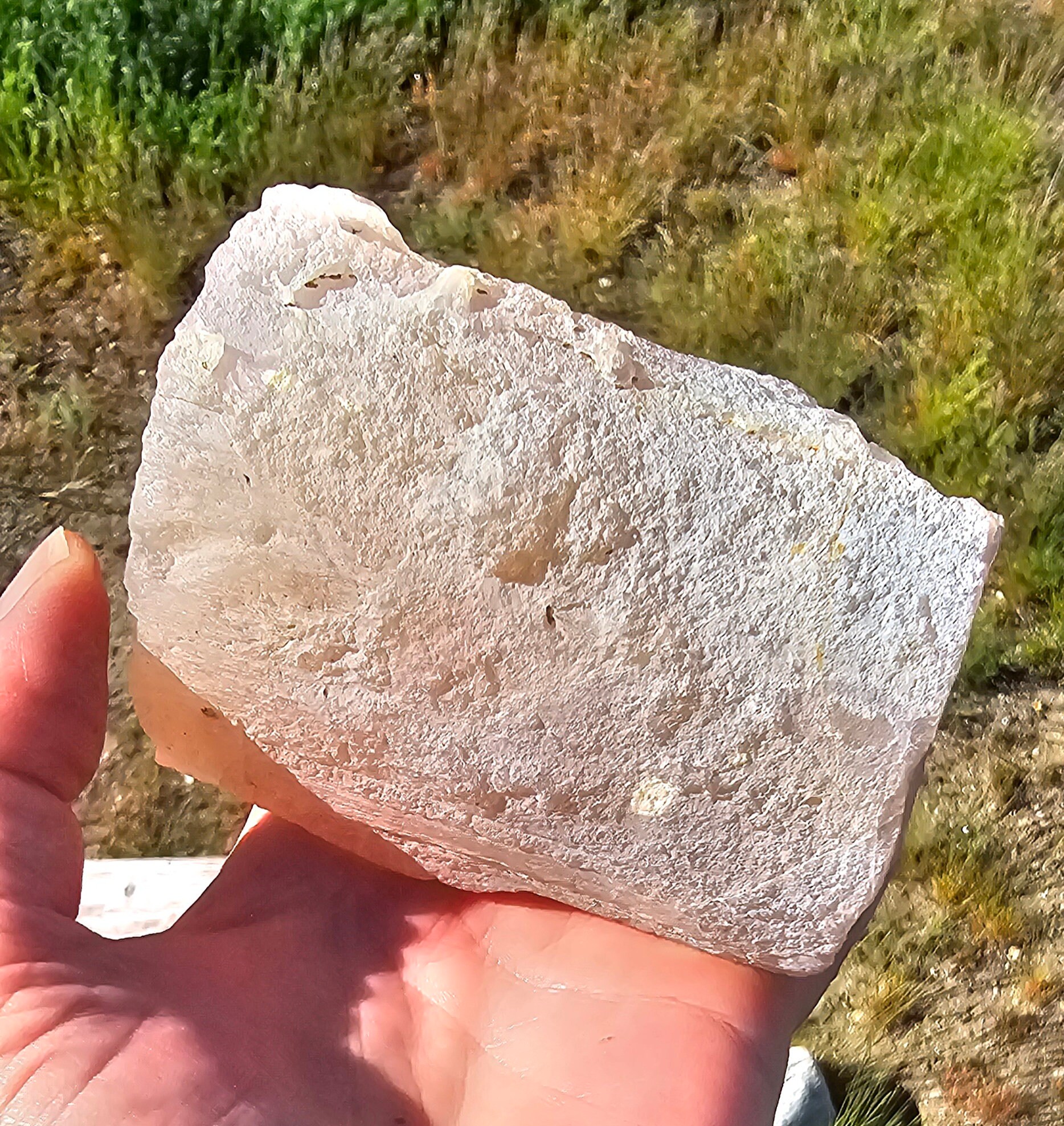 Pink Limb Cast Large & Rare - Etsy