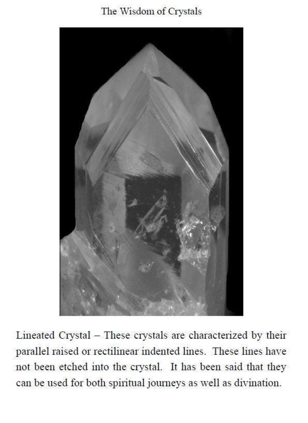 Lineated Barnacle Quartz Crystal: Featured in 'wisdom of Crystals' - Etsy