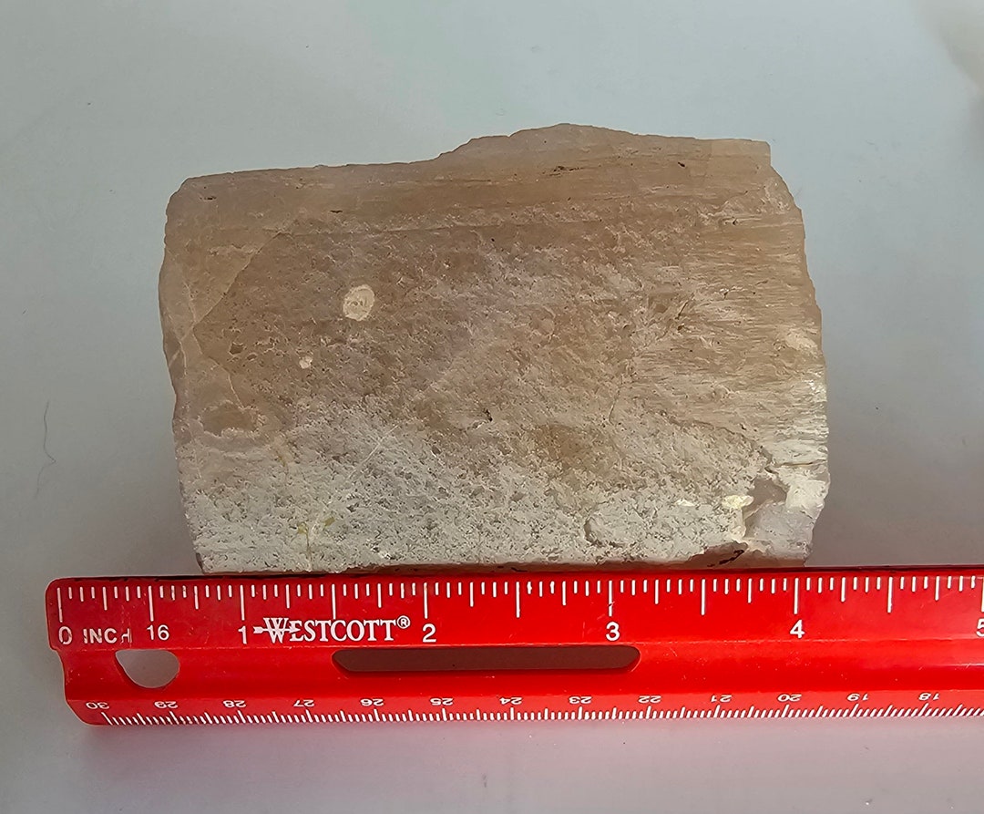 Pink Limb Cast Large & Rare - Etsy