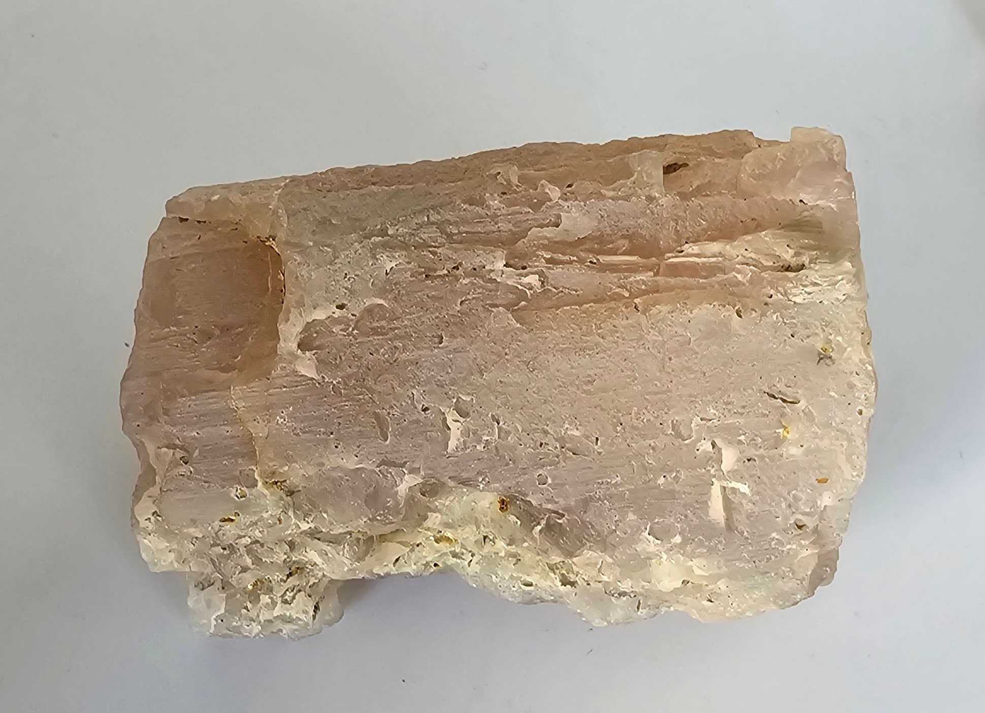 Pink Limb Cast Large & Rare - Etsy