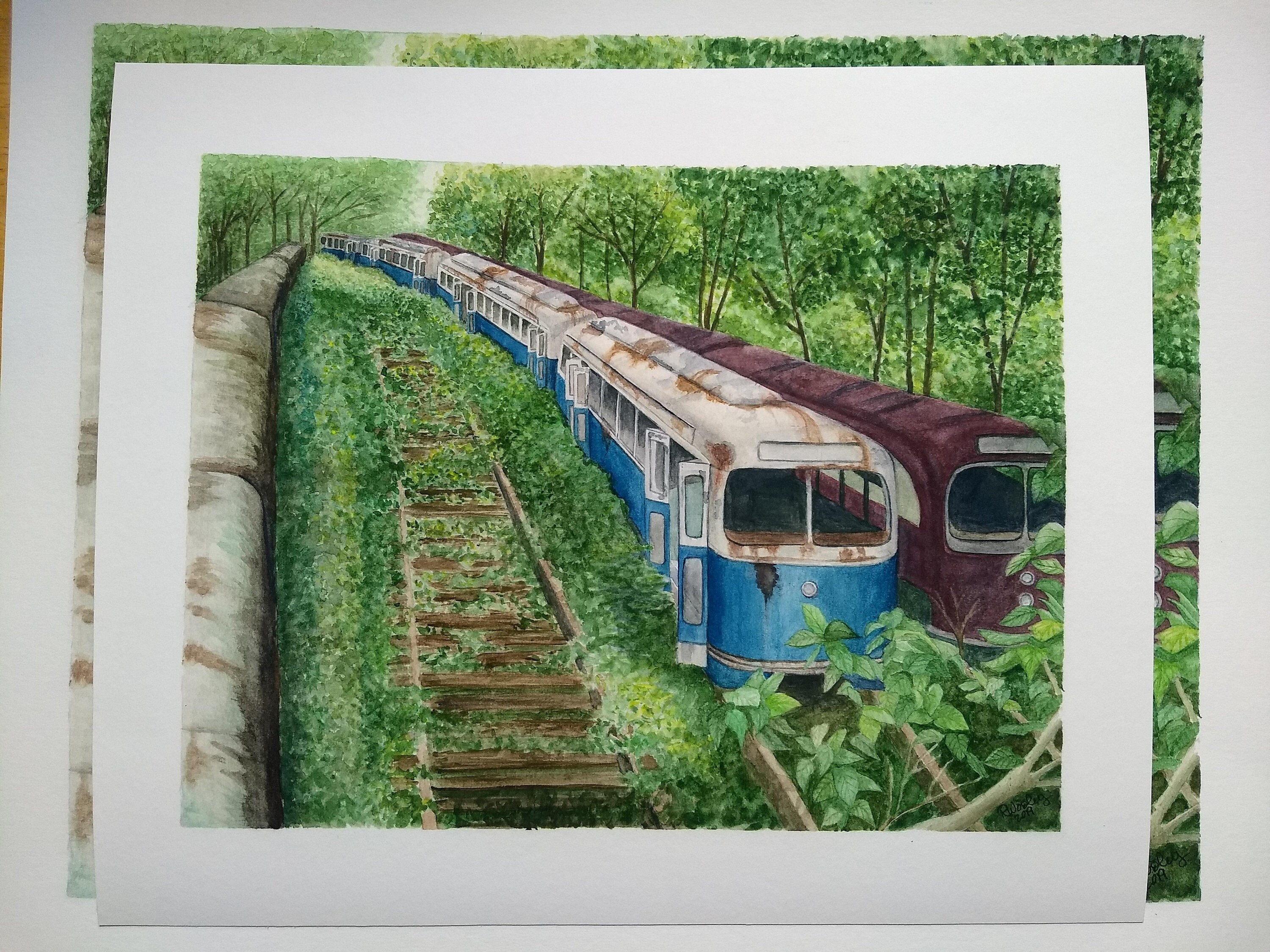 Abandoned Trains, Old Rusty Train Graveyard, Train Tracks in the Woods ...