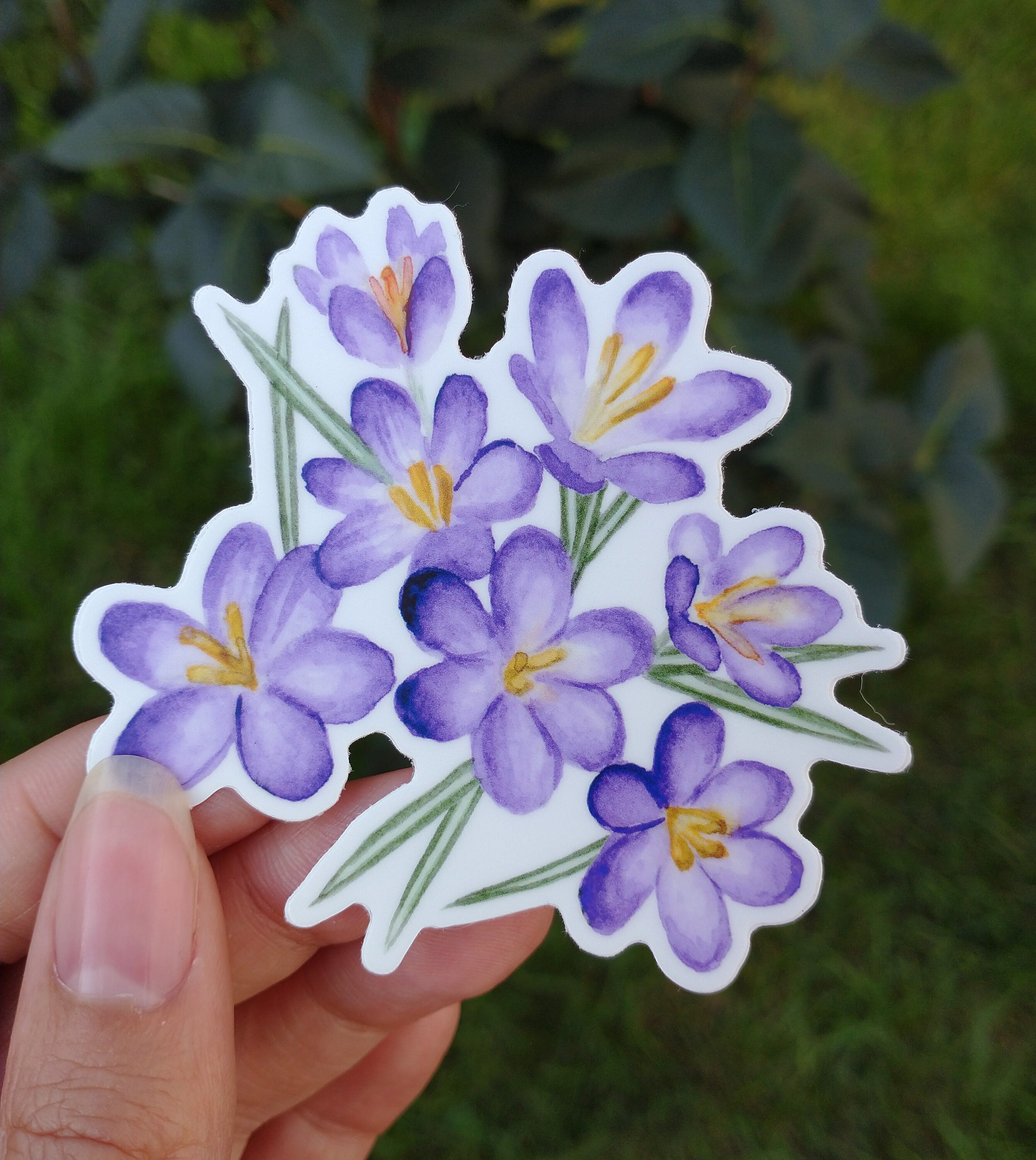 Flower Sticker, Die Cut 3" Vinyl Sticker of Purple Crocuses, Adhesive ...