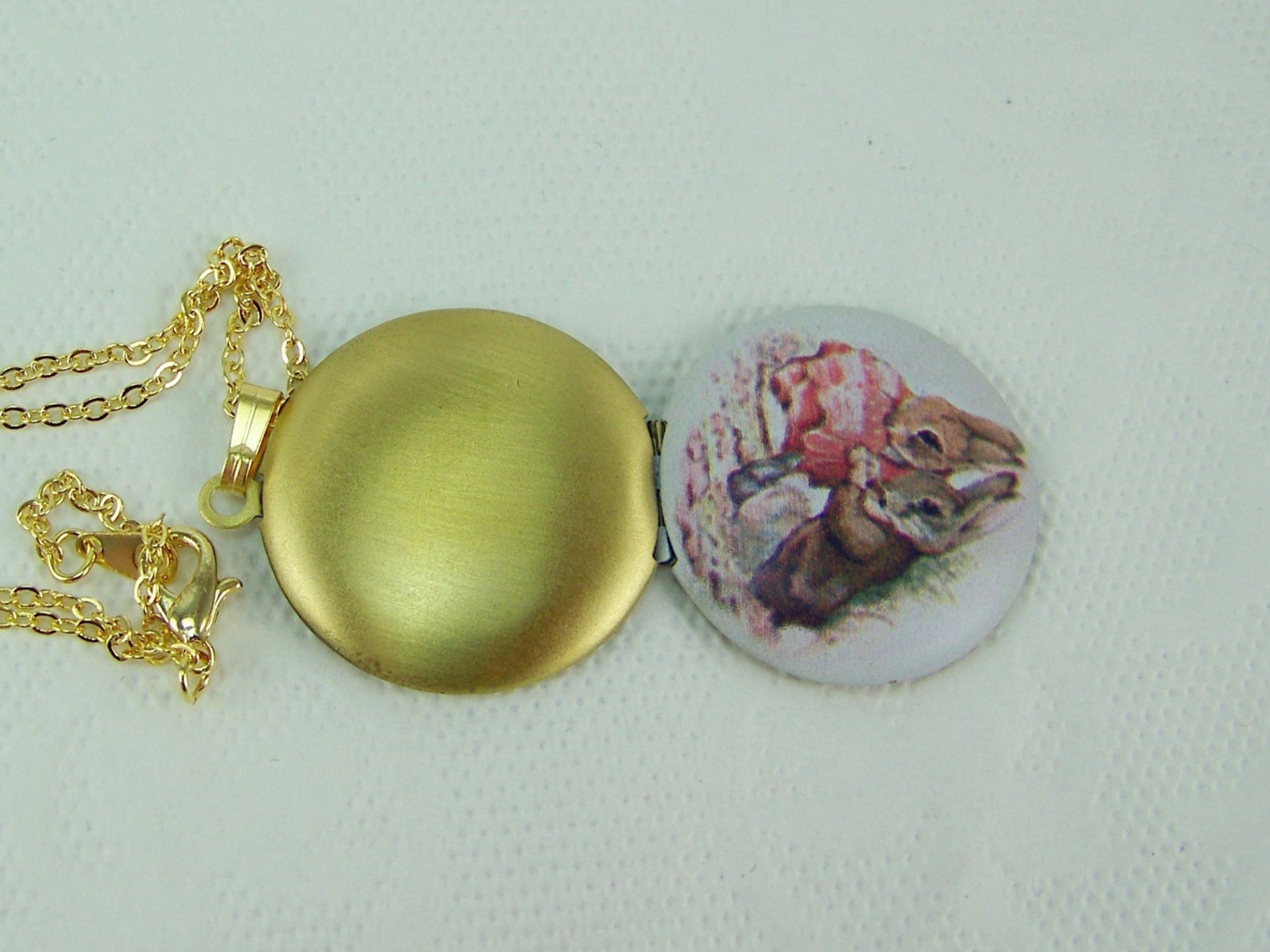Peter Rabbit Locket Beatrice Potter Bunny Bunny Locket - Etsy