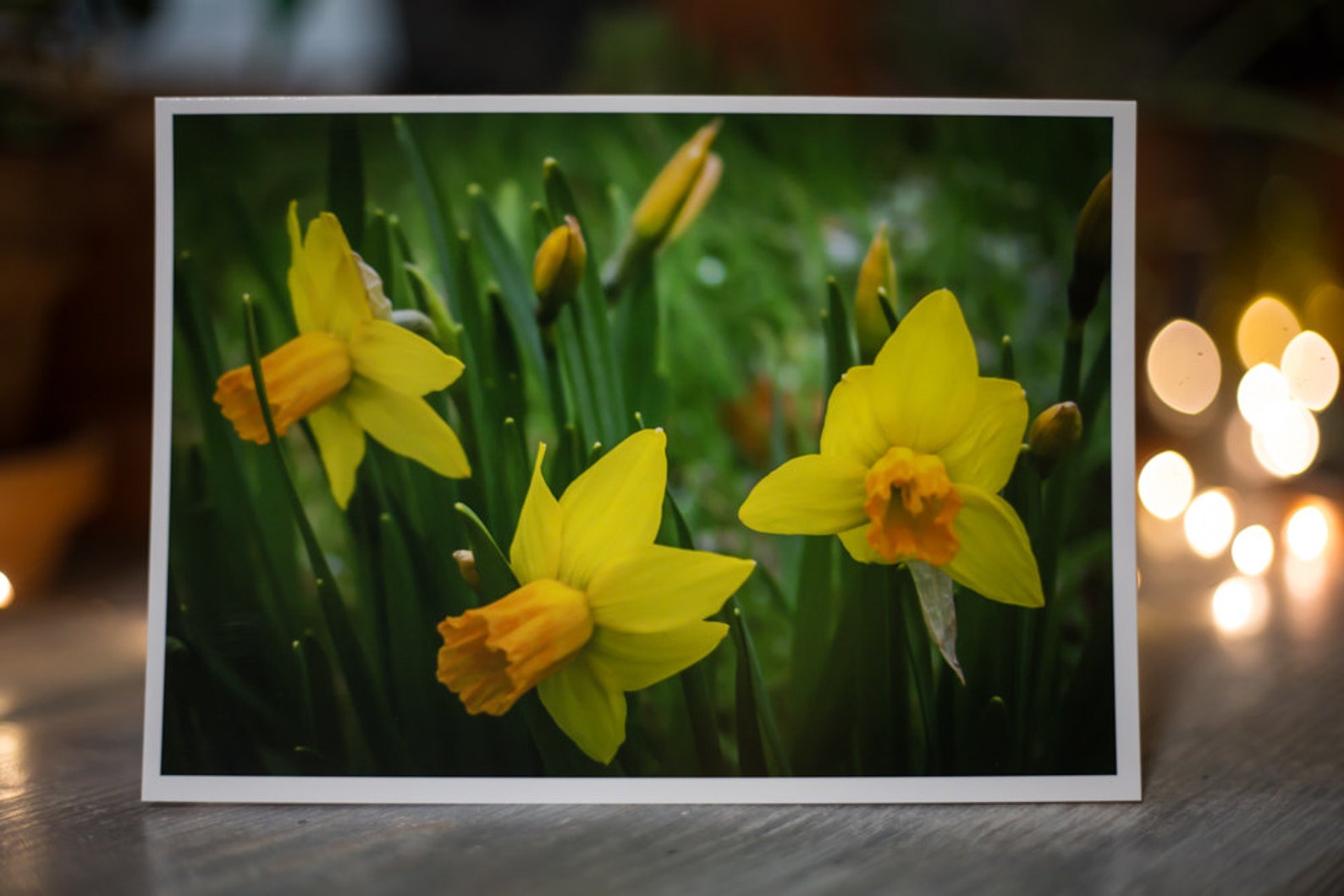 Greeting Card Blank Card 5x7 Greeting Card Flower Etsy greeting-card-blank-card-5x7-greeting-card-flower-etsy