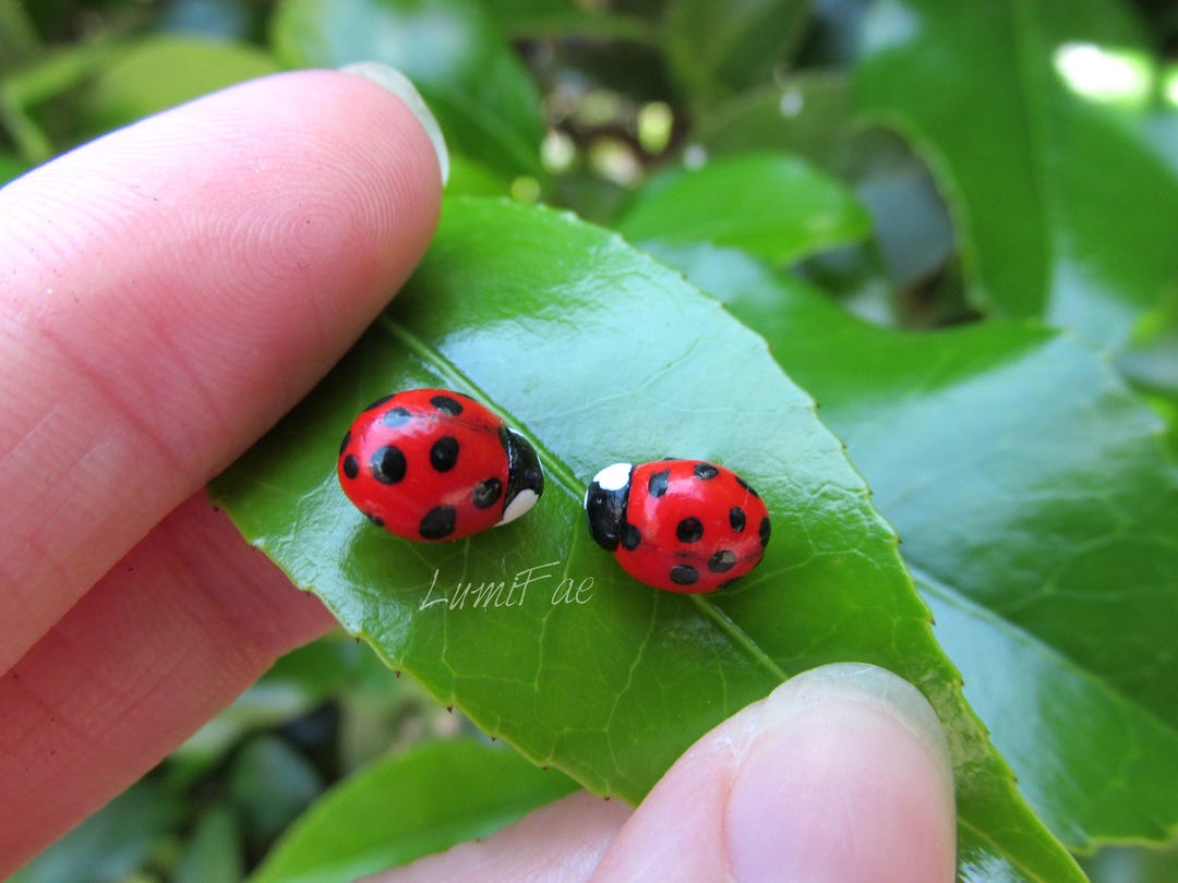 Realistic Ladybug Earrings, Hypoallergenic Studs - Etsy