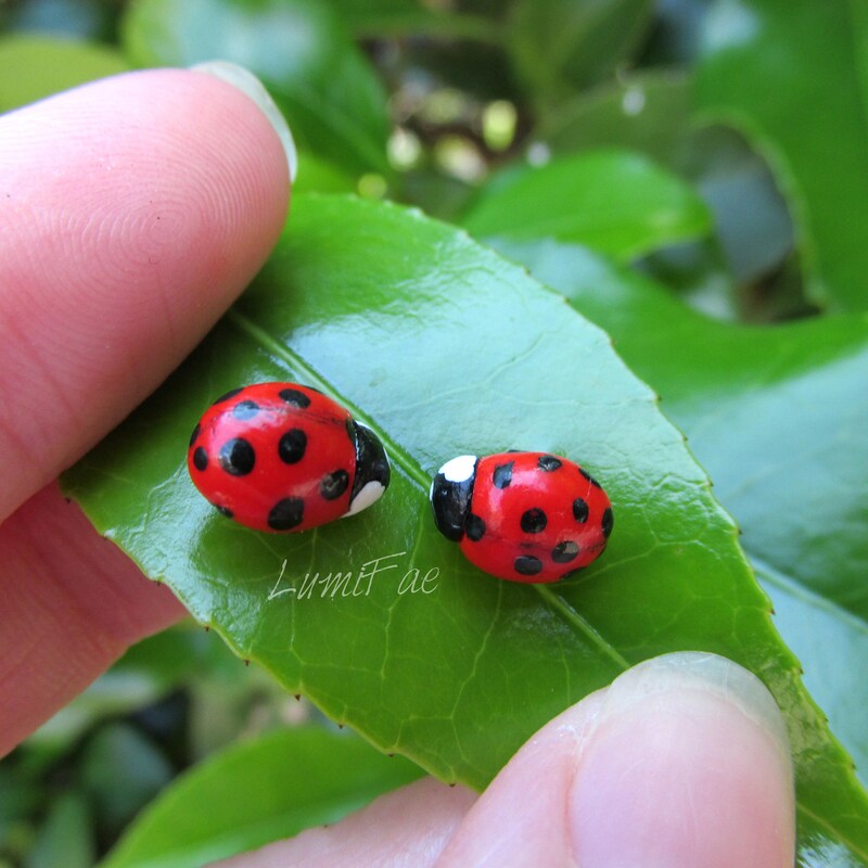 Ladybug Earrings - Etsy