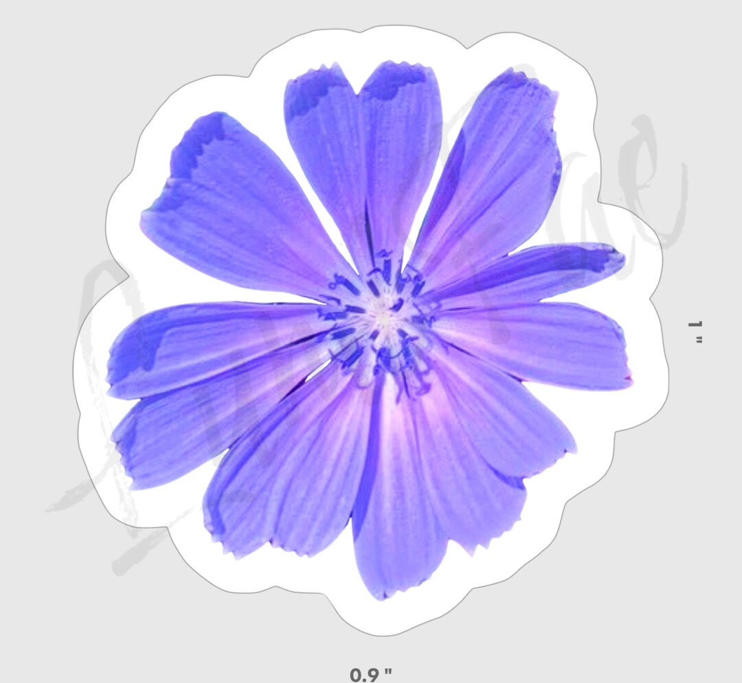 Pre-order : Purple Flower Stickers Clear Backs Waterproof - Etsy