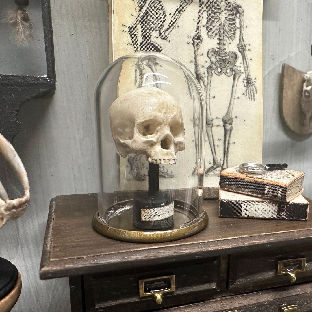 Dollhouse Miniature Animal Skull Under Glass Cloche, Miniature ...