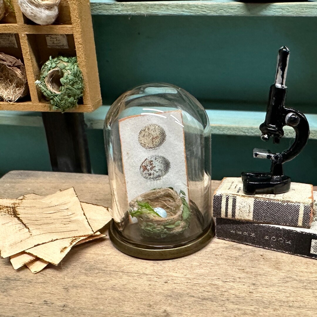 Miniature Dollhouse Cloche With Vintage Print and Nest, Dollhouse Bell ...