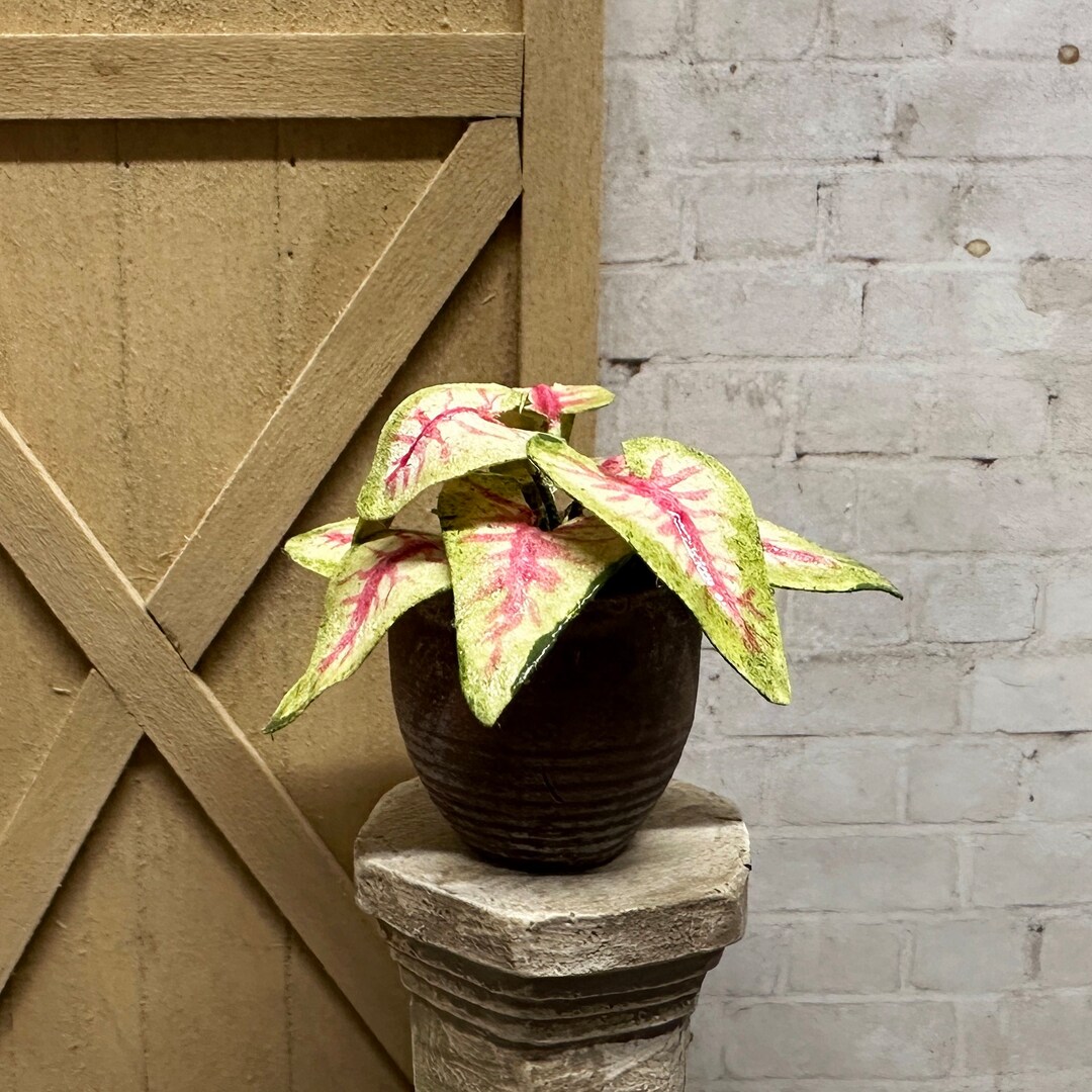 Dollhouse Miniature Caladium, Dollhouse Plant, Mini Garden or ...
