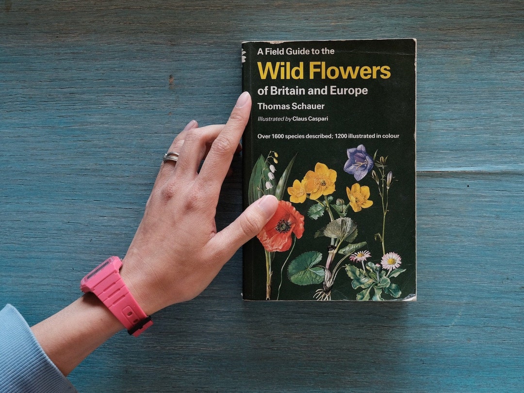 Vintage Britain & Europe Wild Flower Book, Flora Field Guide, Botanical ...