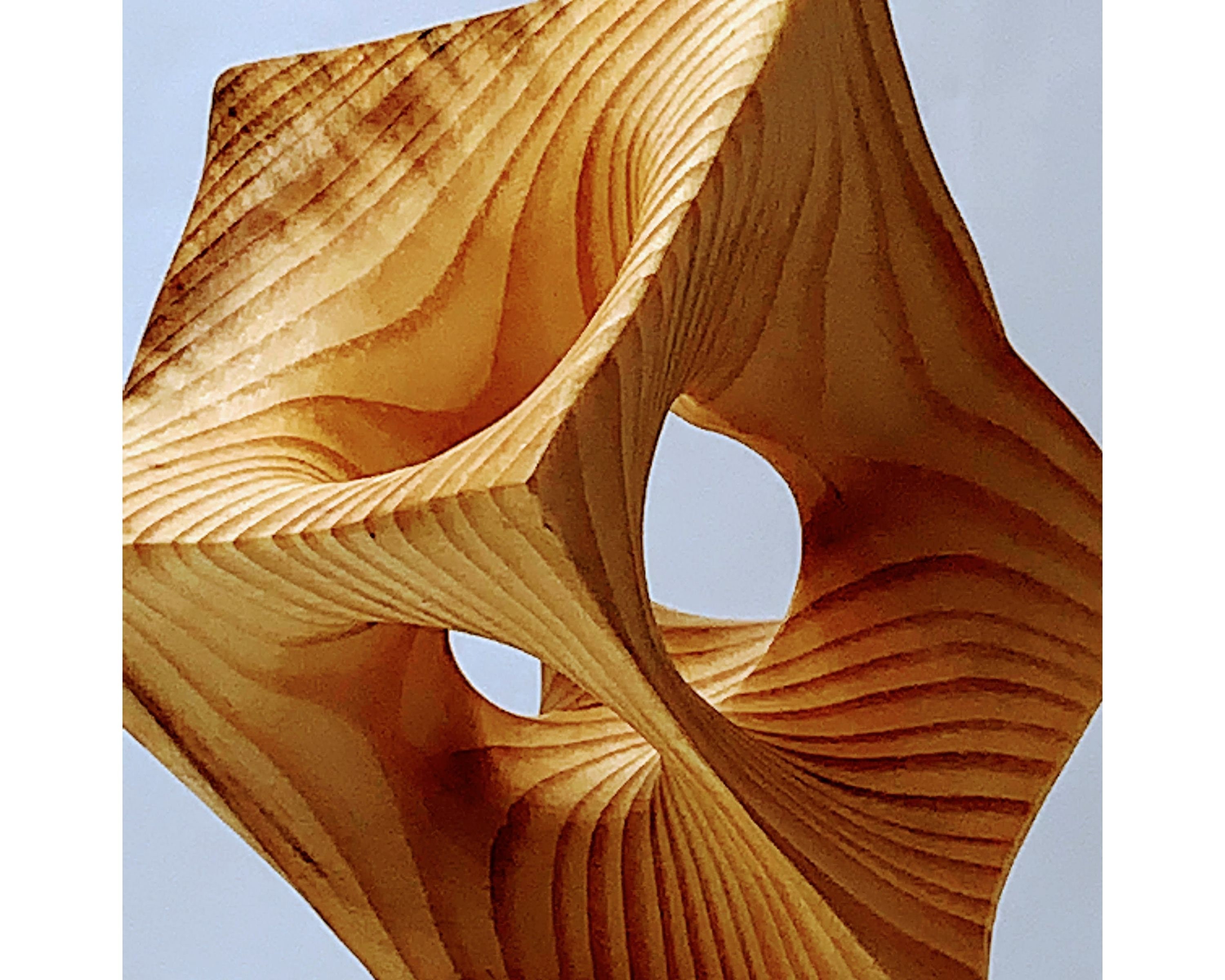 Modern Abstract 3d Wood Sculpture Décor Art Natural Wood Modern Wood ...