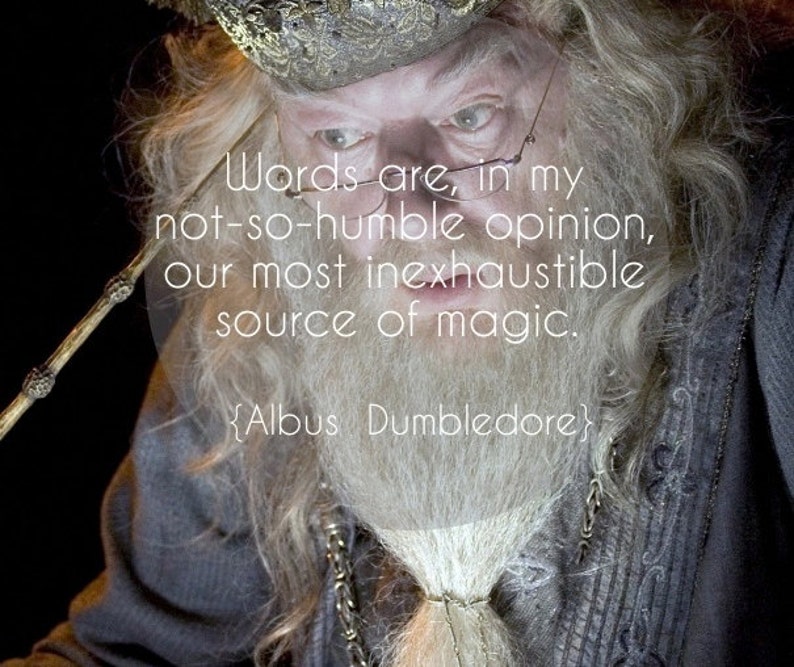 Words Are in My Not-so-humble Opinion Our Most Inexhaustible - Etsy Canada