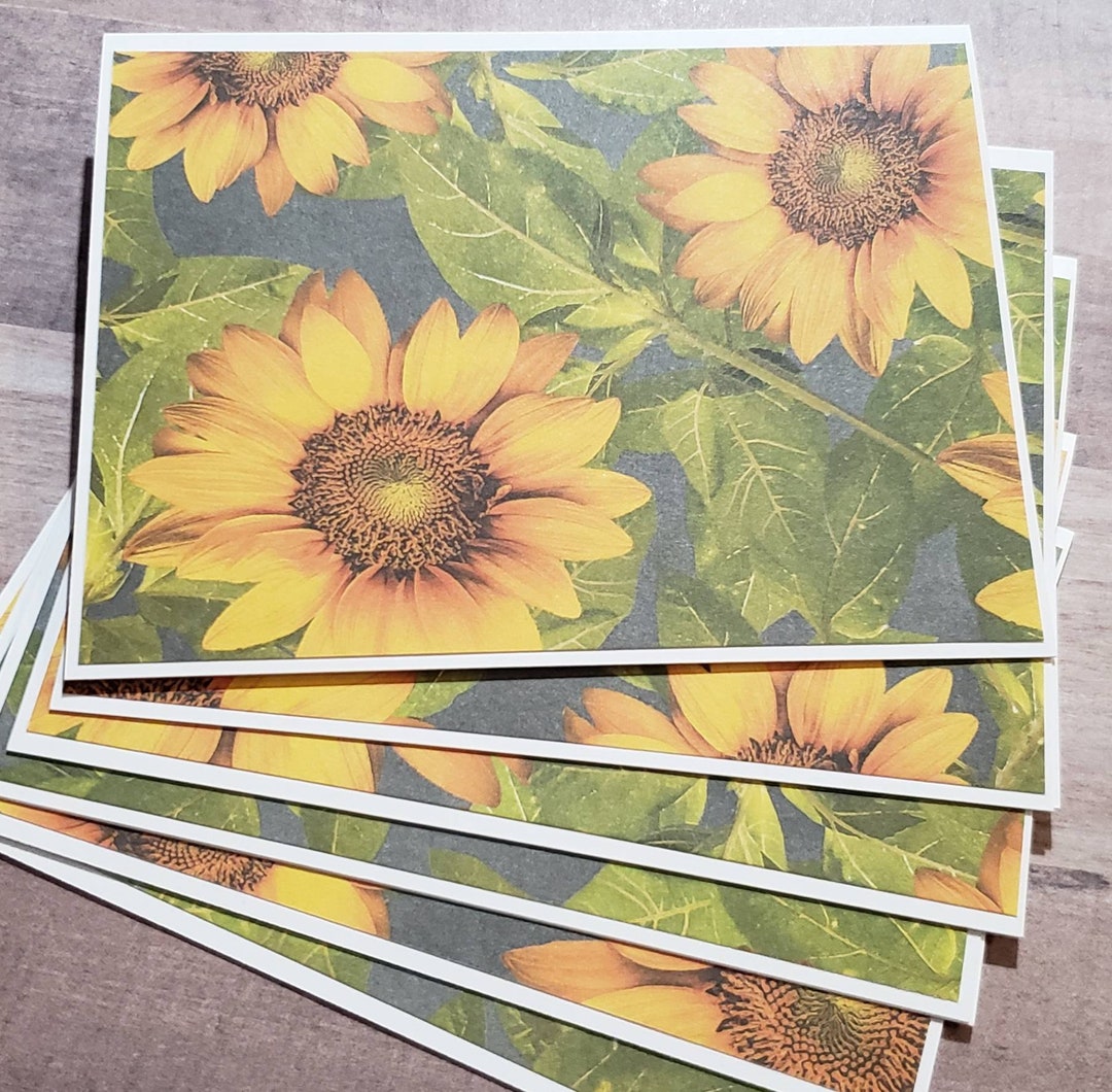 Sunflower Note Cards With Envelopes Set of 6 Pretty Floral - Etsy