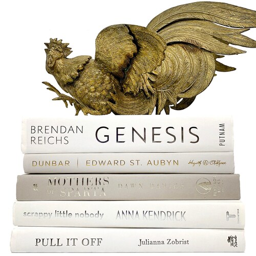 Bundle White and Ivory Decorative Books Books for Staging - Etsy