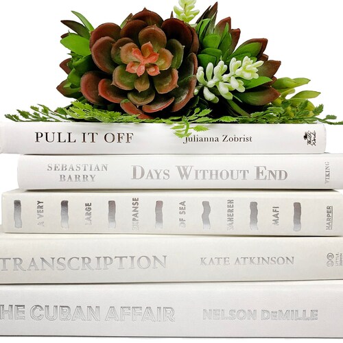 Bundle White and Ivory Decorative Books Books for Staging - Etsy