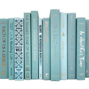Bundle of Baby Blue, Light Blue, Powder Blue Decorative Books - Book ...