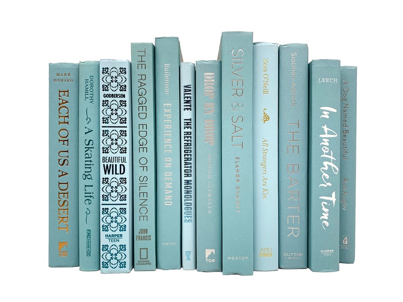 Bundle of Baby Blue Light Blue Powder Blue Decorative Books - Etsy