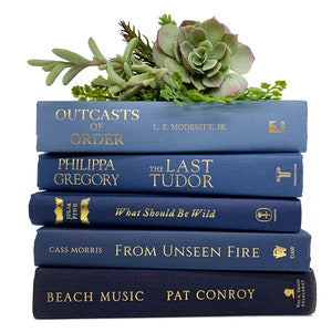 Bundle of Decorative Books by Color Bundle Blues and Coordinating Hues ...