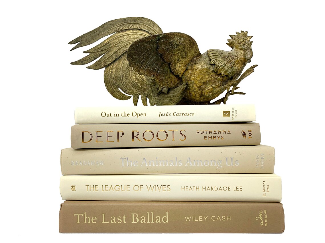 Bundle of Beige Tan Ivory off White Decorative Books With - Etsy