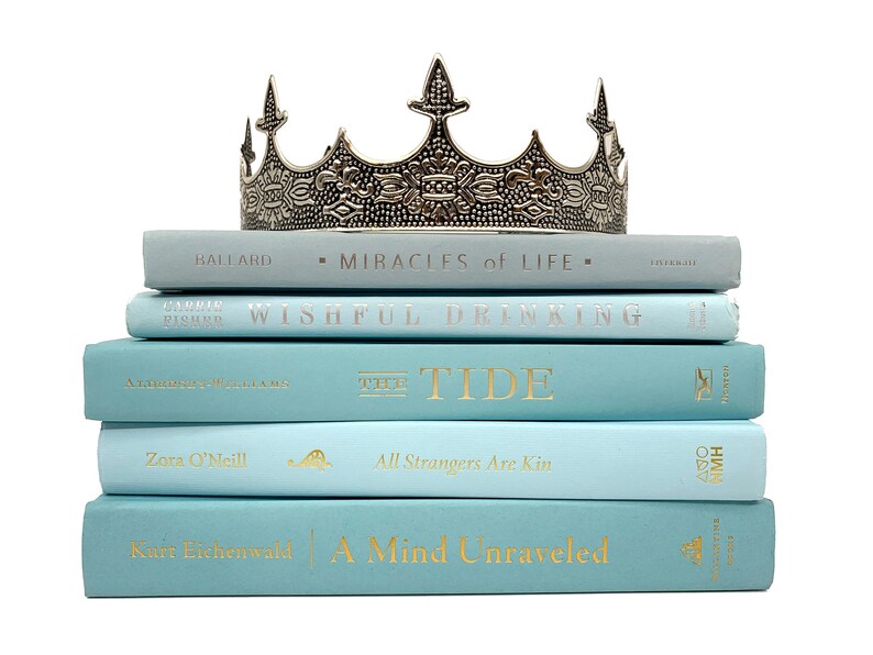 Bundle of Baby Blue Light Blue Powder Blue Decorative Books - Etsy