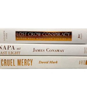 Bundle of White Decorative Books BY THE BOOK White Books With - Etsy