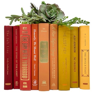 Bundle of Decorative Books by Color Bundle Orange Red and - Etsy