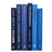Bundle of Decorative Books by Color Bundle Blues and - Etsy