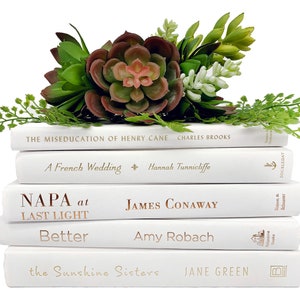 Bundle of Modern White Home Decor Books With FOIL Lettering Decorative ...