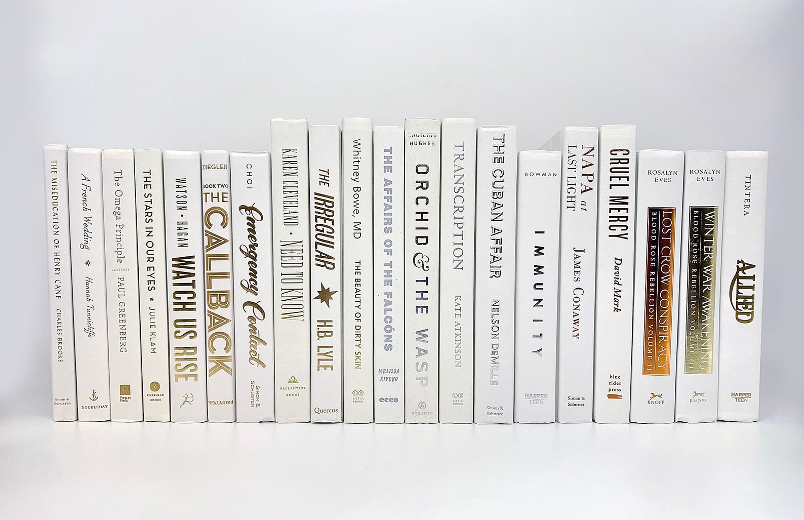 Bundle of White Decorative Books with Gold Silver Red Blue | Etsy