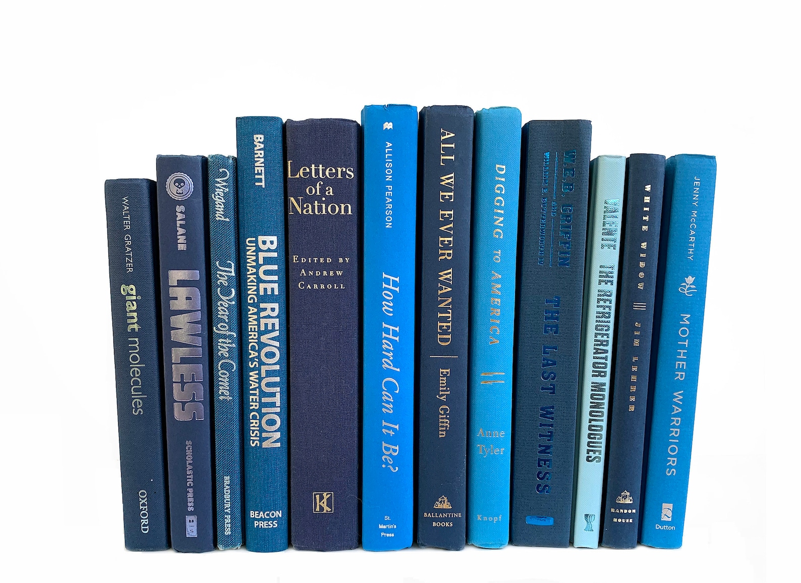 Bundle of Blue Decorative Books by the Foot by Color Bundle - Etsy