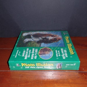 Photo Illusion 550 Piece Jigsaw Puzzle by IronWorks | Etsy