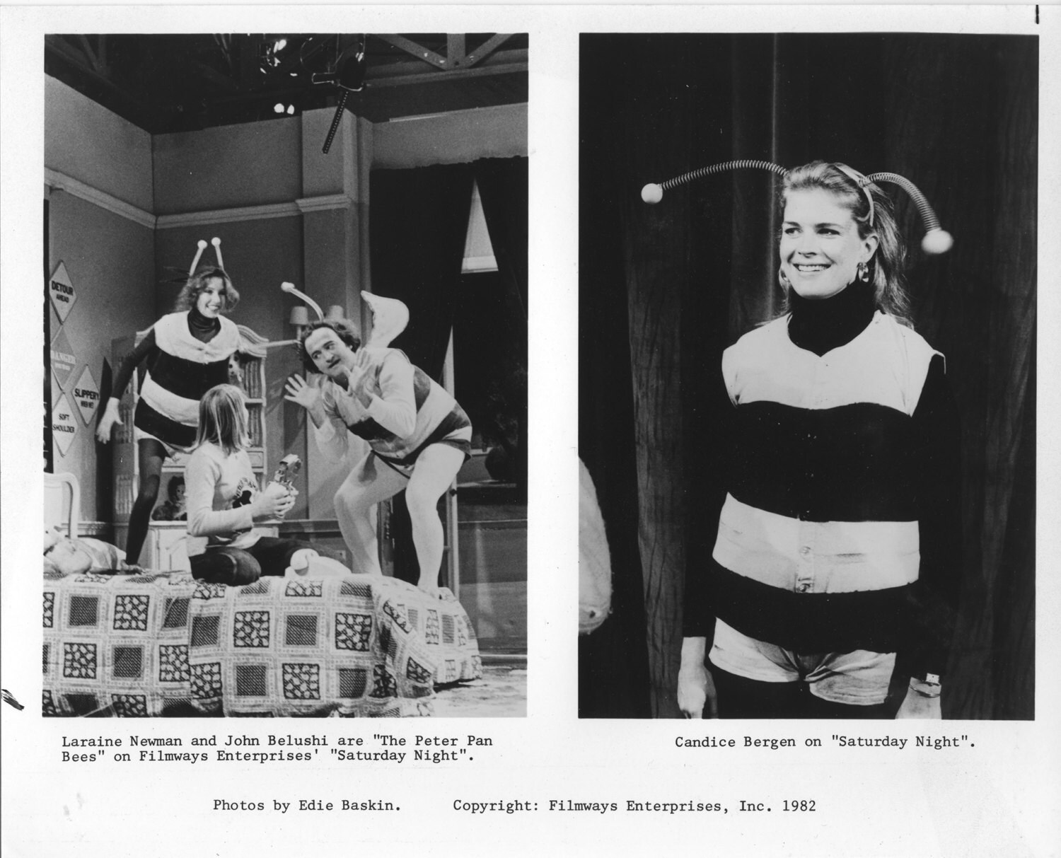 Jim Belushi Bee