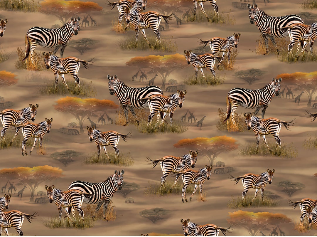 Zebra Sunset, Zebra Scenic , 29238 -A, Carol Calvalaris, Quilting ...