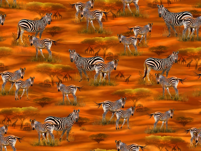 Zebra Sunset Quilt Kit Pattern Byn Pine Tree Country Quilts - Etsy