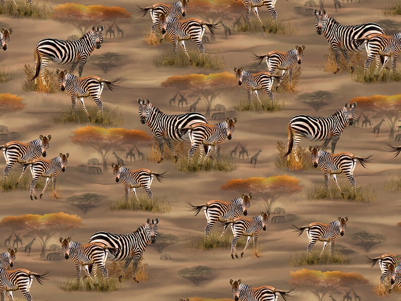 Zebra Sunset Quilt Kit Pattern Byn Pine Tree Country Quilts - Etsy