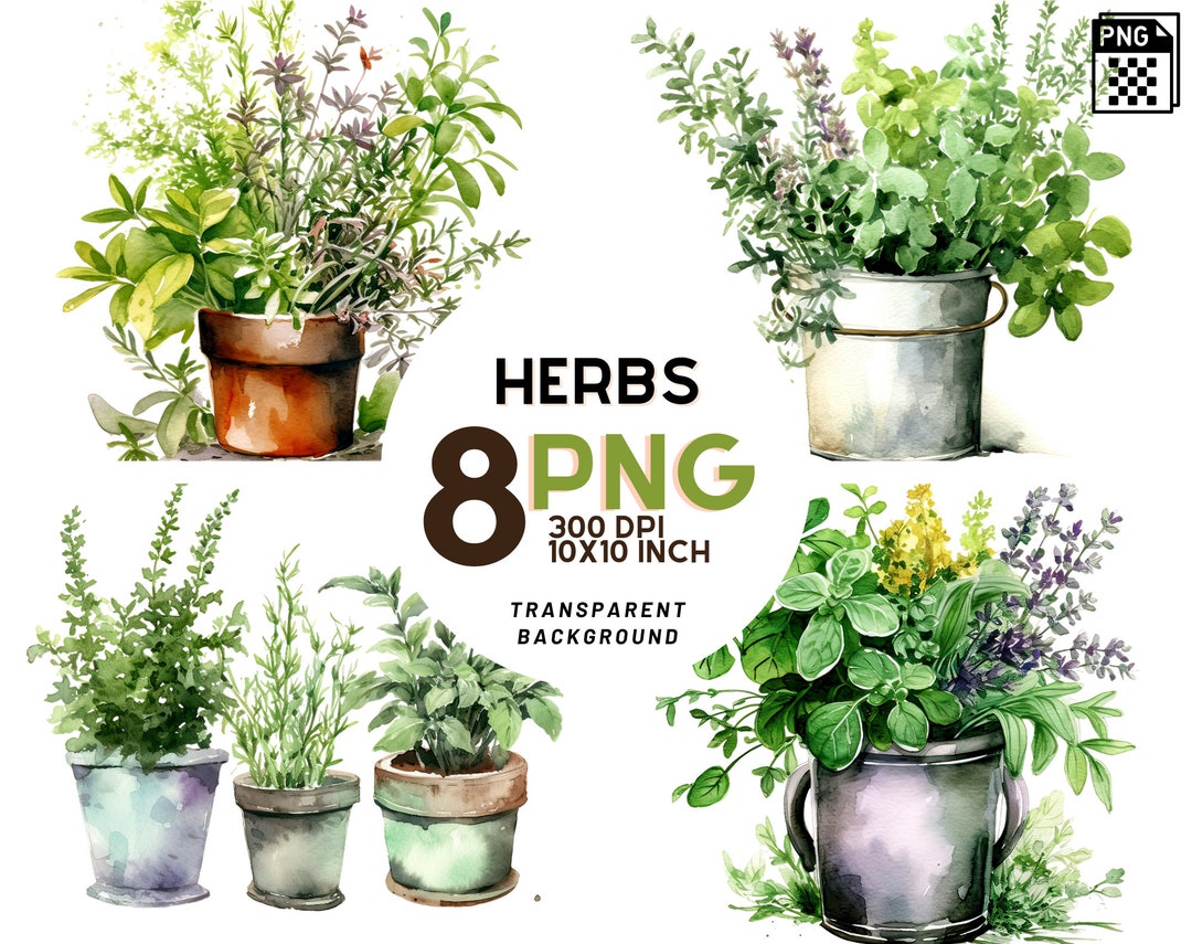 Watercolor Herbs in Pot Clipart - 8 High-resolution Pngs for ...