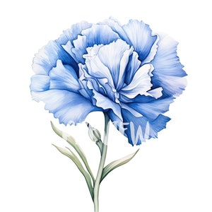 Watercolor Blue Carnation Clipart Set: 8 High-quality 300 DPI Pngs ...